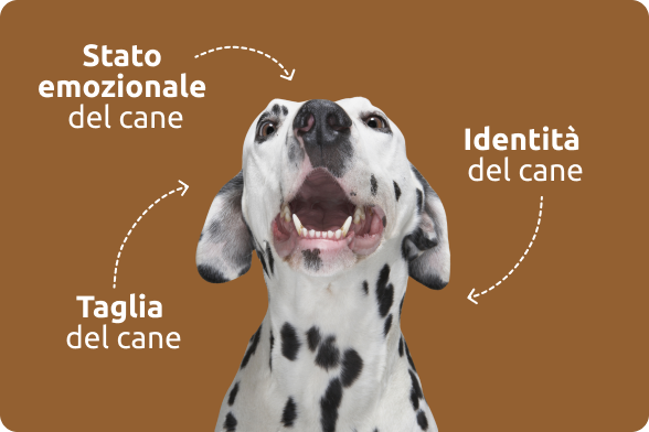 La comunicazione canina: che tipo di suono emette un cane? | Ultima